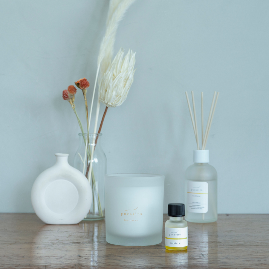 pucarito リードディフューザー hodokeru 100ml – 生活の木 オンラインストア