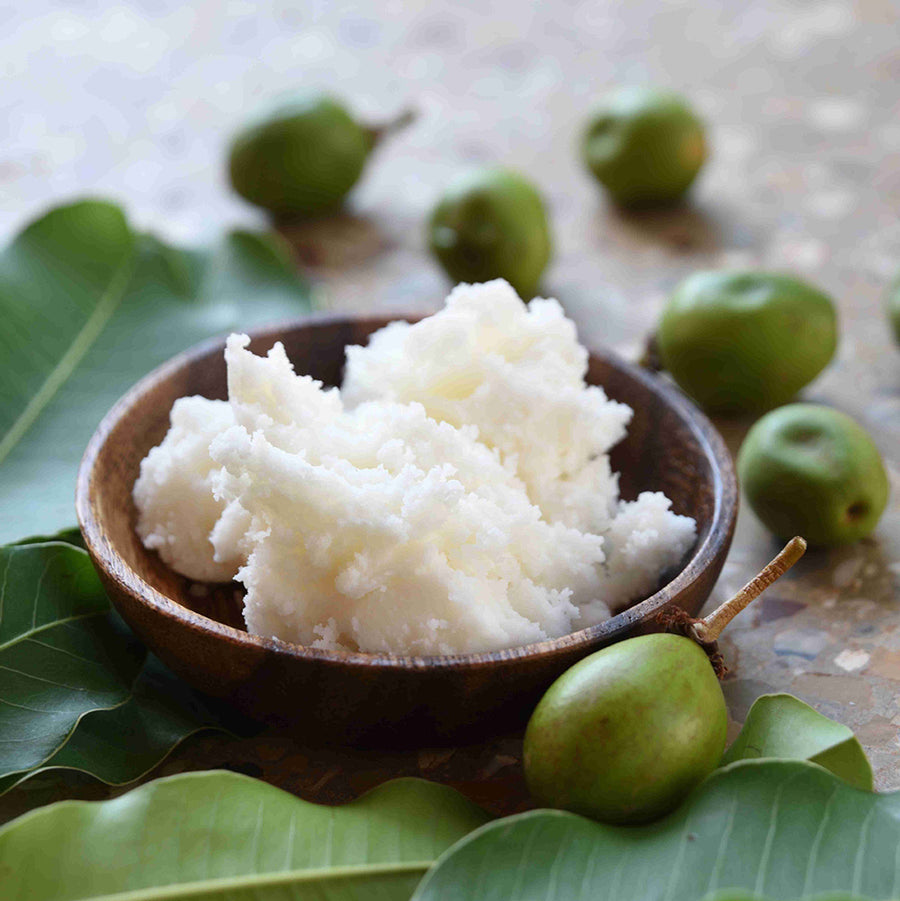 SHEA BUTTER | skincare for face & body – 生活の木 オンラインストア